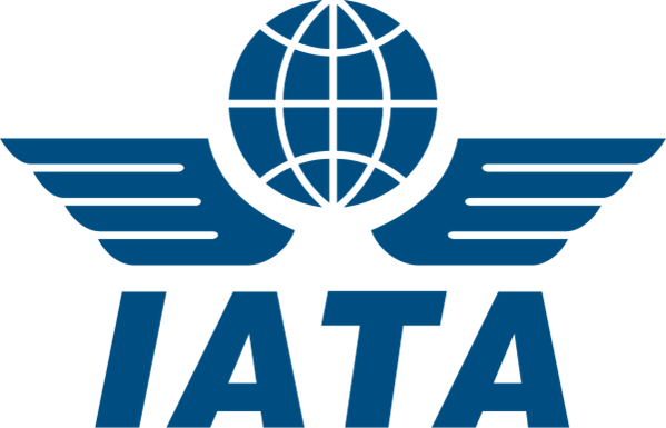 Phân Biệt Mã Sân Bay Iata Và Icao Trong Vận Tải Hàng Không - SMART HUB